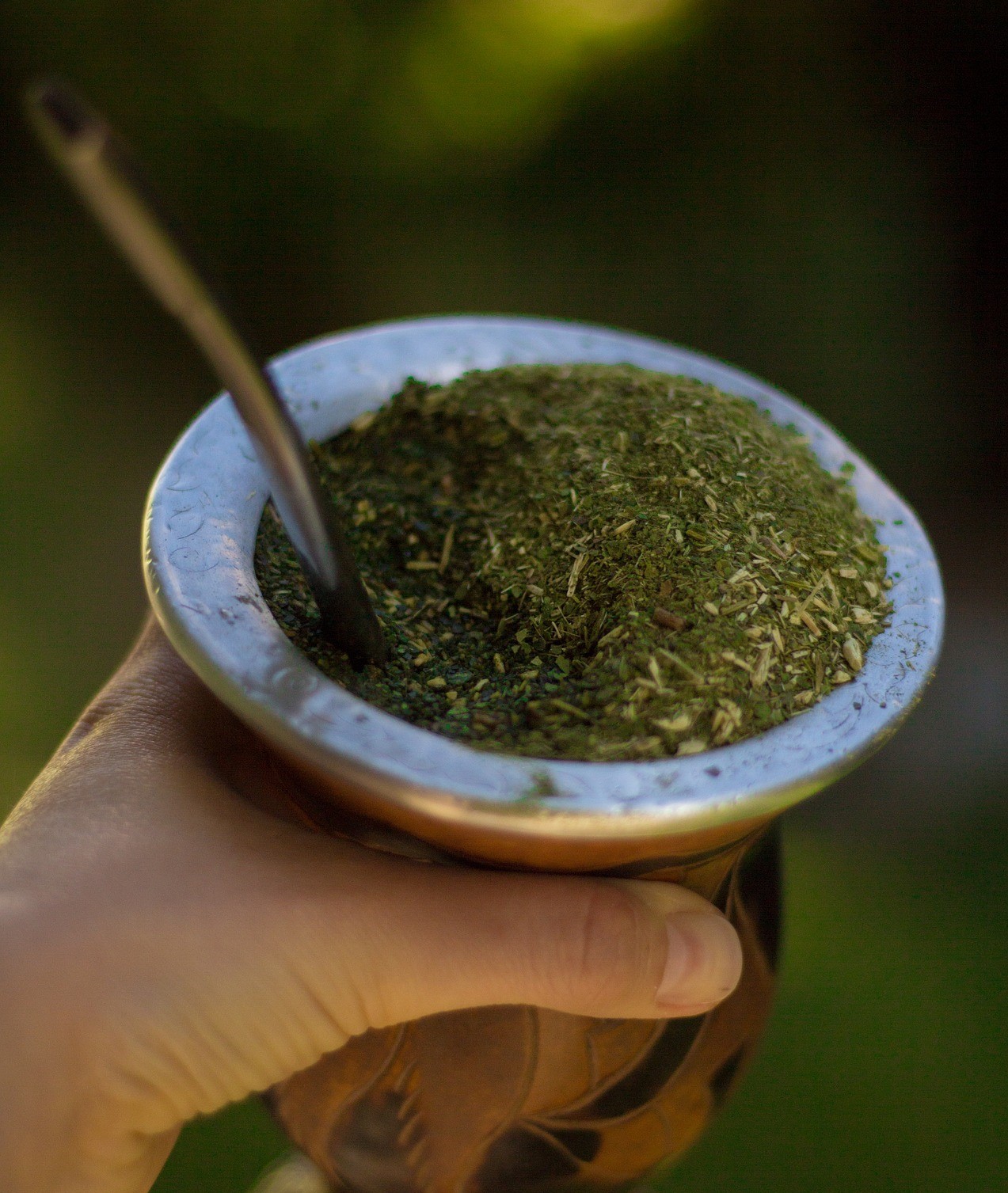 Erva-mate poderá ser usada no preparo da merenda escolar no RS | Rádio ...